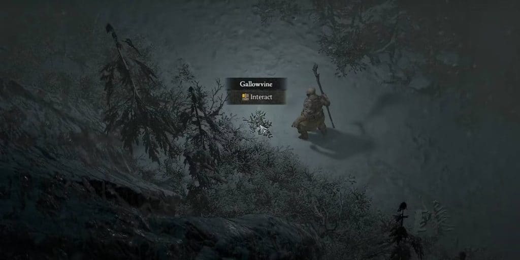 How To Farm (& Use) Gallowvine In Diablo 4 - Guides, Game Guides